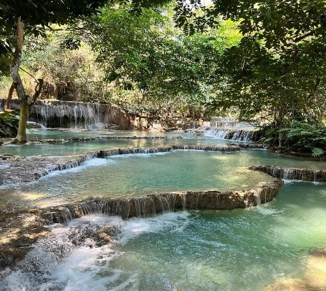 A DAY AN ANIMAL TOUR AND SPECTACULAR KUANG SI WATERFALLS - Laos ...