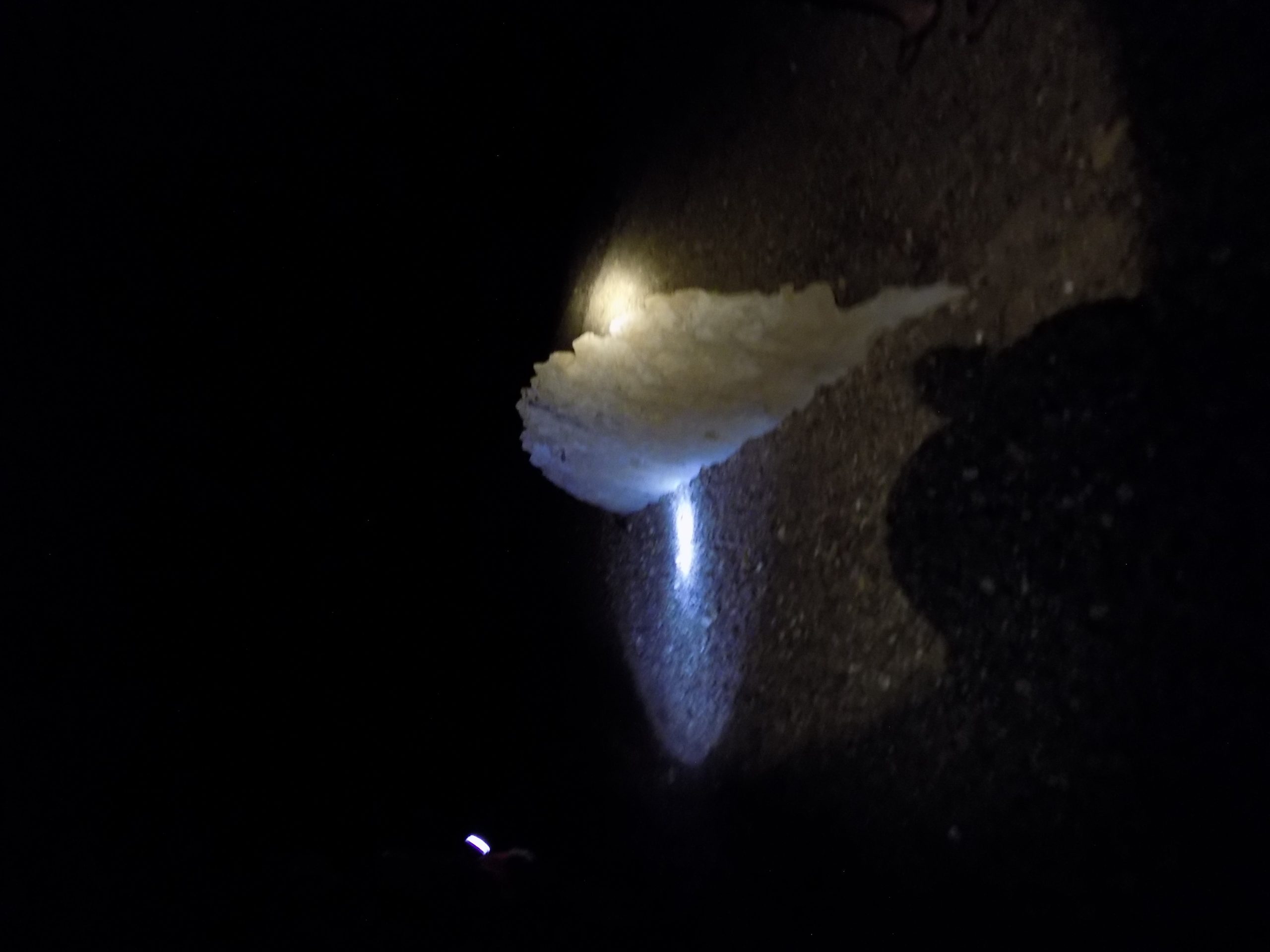 13 DAYS: EXPLORING SECRET WAR TRAIL IN NORTHEAST OF LAOS DURING 1968 ...