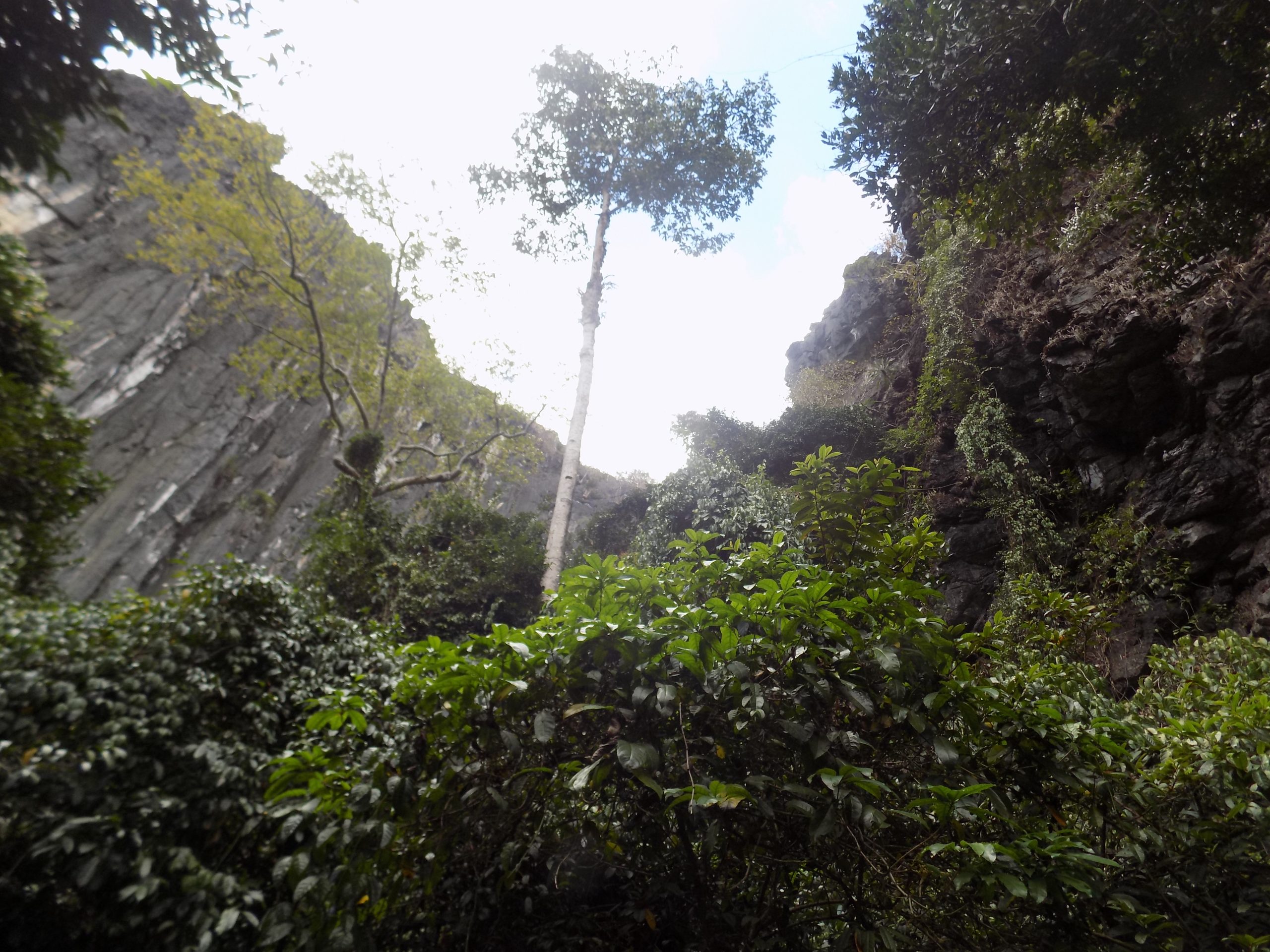 13 DAYS: EXPLORING SECRET WAR TRAIL IN NORTHEAST OF LAOS DURING 1968 ...